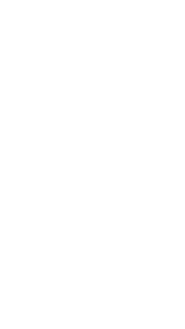 Co-Managed Services - Dedicated IT